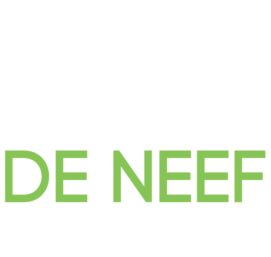 Sterk in Gyprocwerken & binnendeuren | De Neef Projects